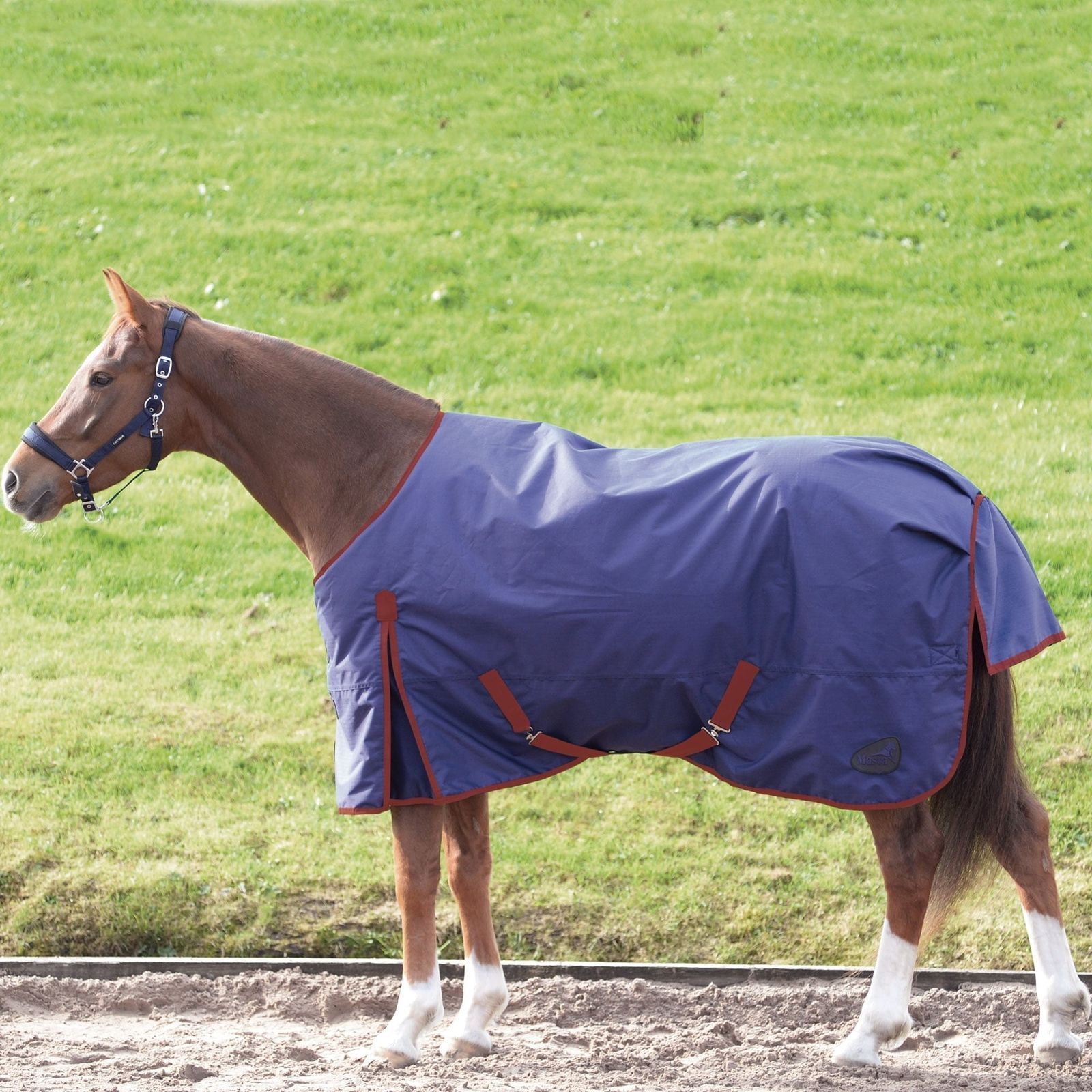Masta Basic 200g Standard Neck Turnout Rug Navy/Red ***£37.50 ...